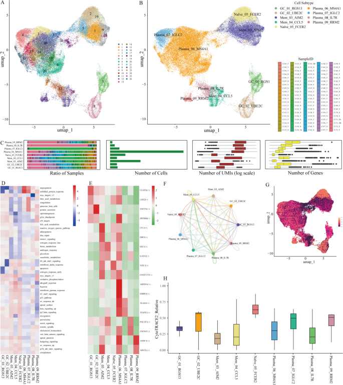 The single-cell atlas of colorectal cancer reveals cellular ...