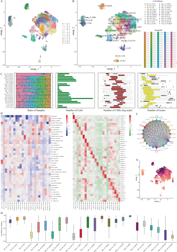 The single-cell atlas of colorectal cancer reveals cellular ...