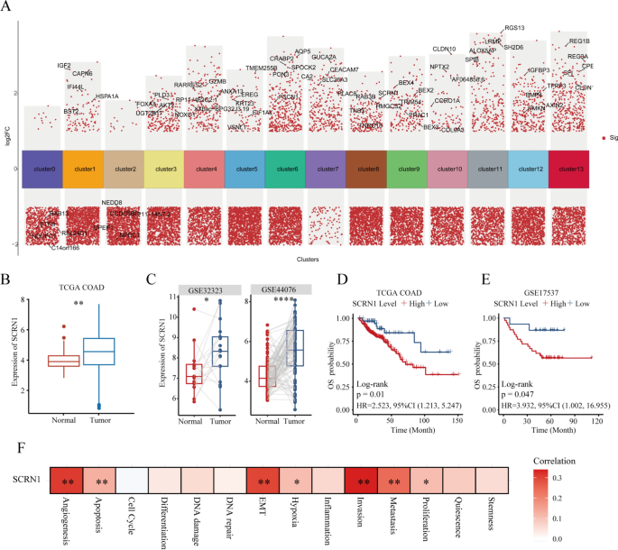 The single-cell atlas of colorectal cancer reveals cellular ...