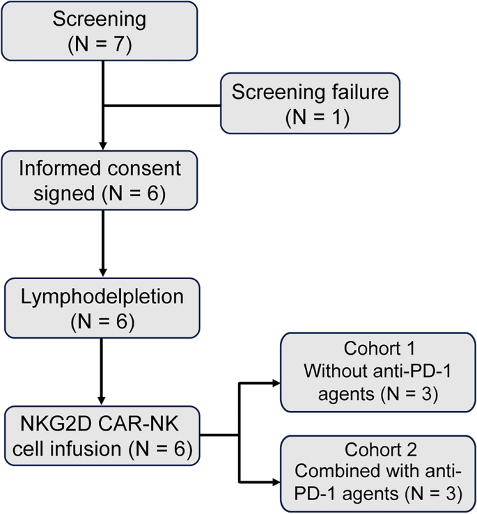 NKG2D CAR-NK adoptive cellular immunotherapy combined with or without ...