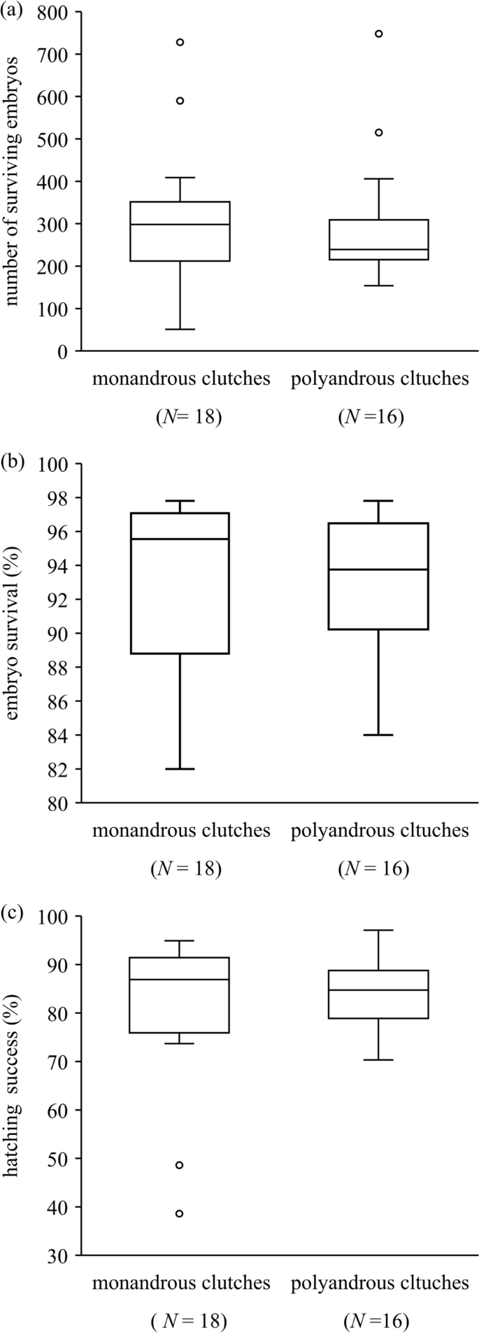 Costs and benefits of polyandrous mating to the female emerald treefrog ...
