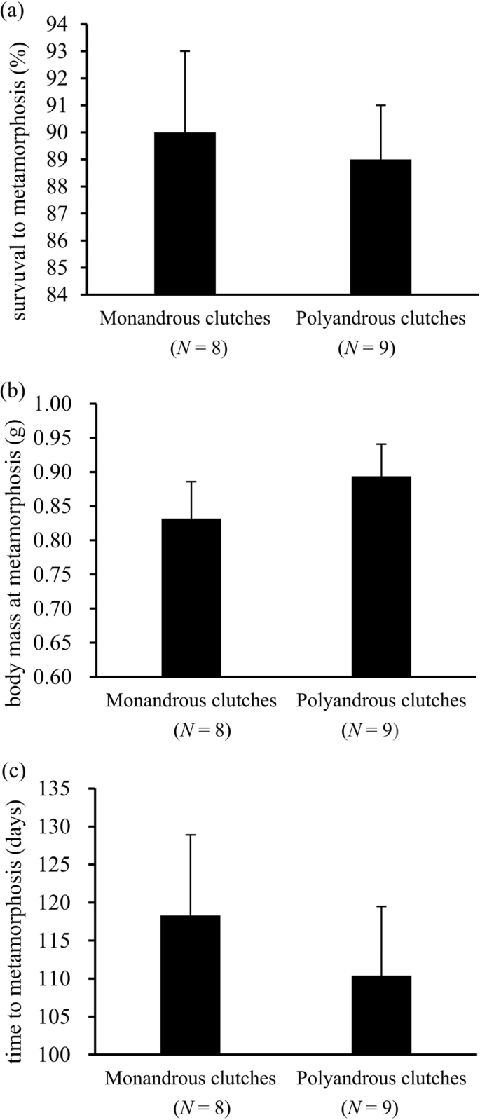 Costs and benefits of polyandrous mating to the female emerald treefrog ...