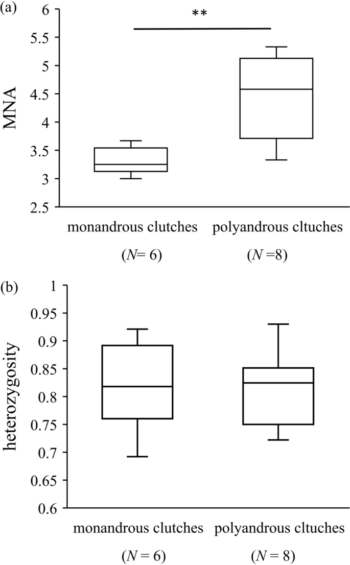 Costs and benefits of polyandrous mating to the female emerald treefrog ...