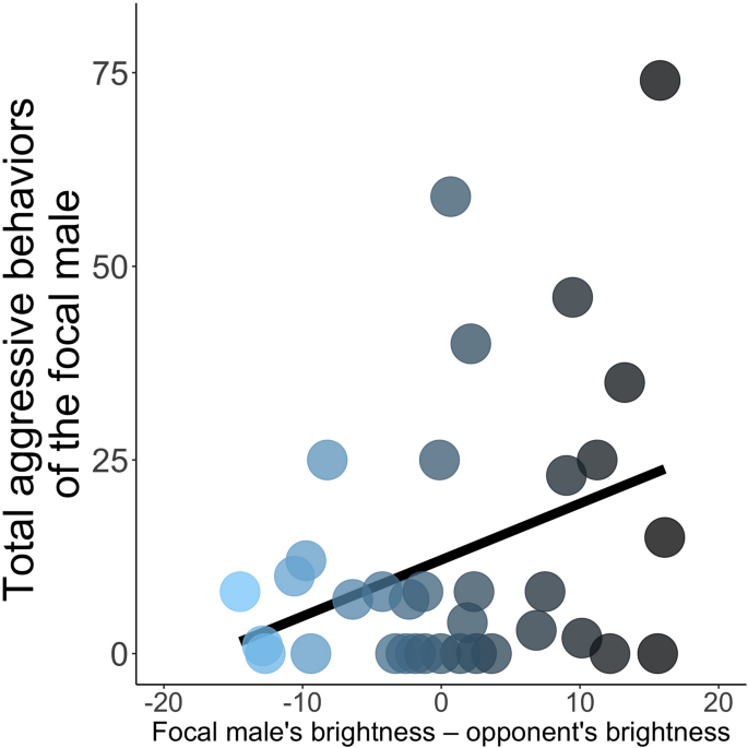 Dual function of blue belly patches in the mesquite lizard | Behavioral ...