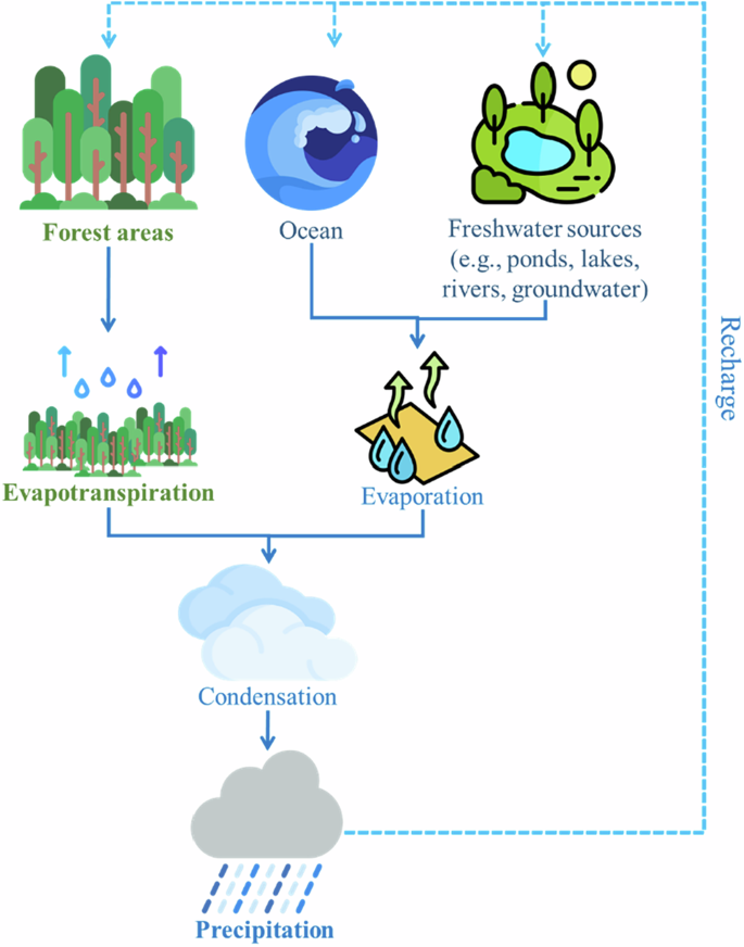 The monetary value of freshwater conservation | Environmental ...
