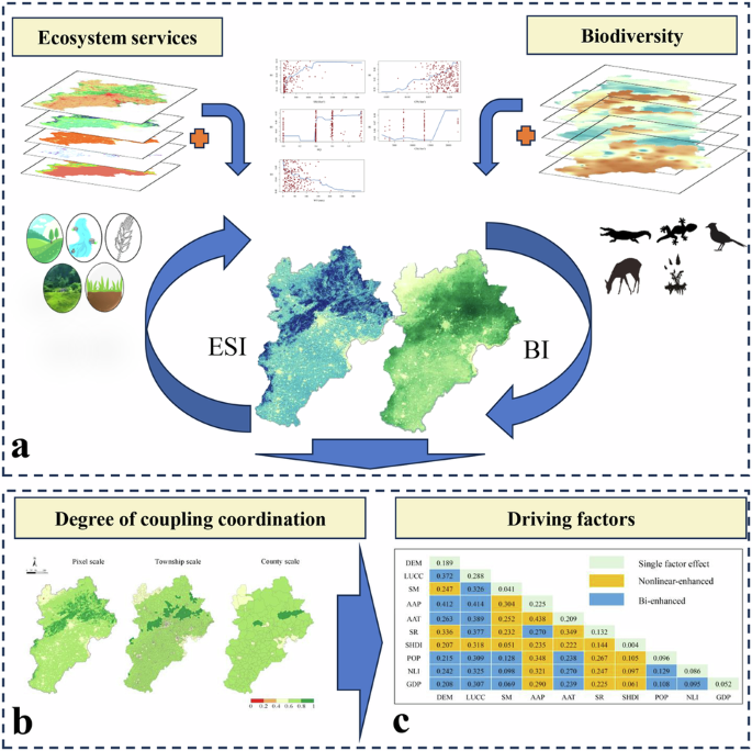 The Synergy Between Ecosystem Services and Biodiversity Depends on the ...