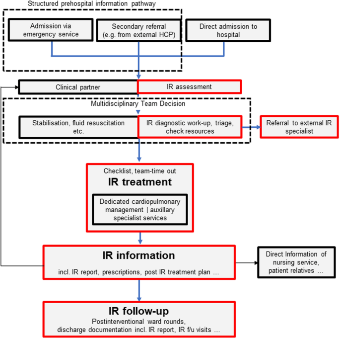 CIRSE Standards of Practice for the Provision of Emergency IR Care on a ...