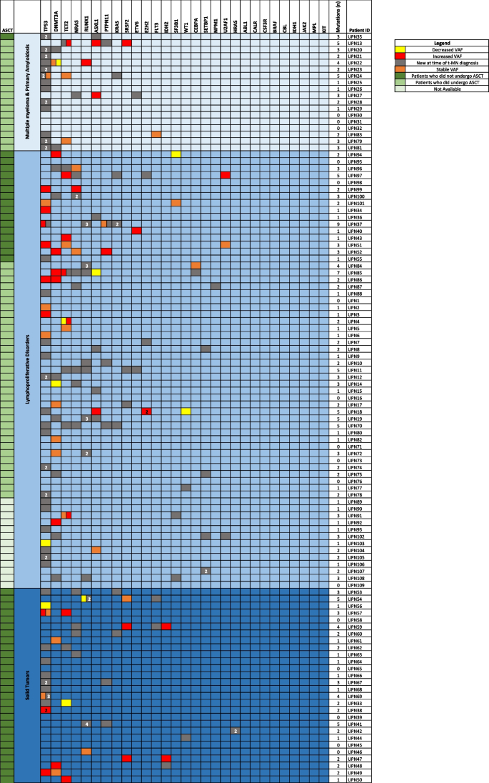The role of clonal progression leading to the development of therapy ...