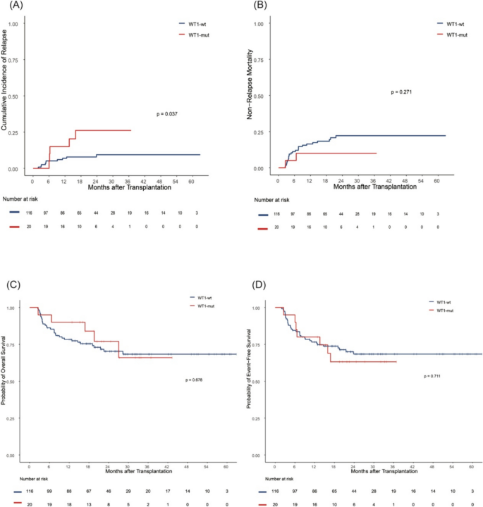 WT1 gene mutations impact post-transplant relapse in myelodysplastic ...