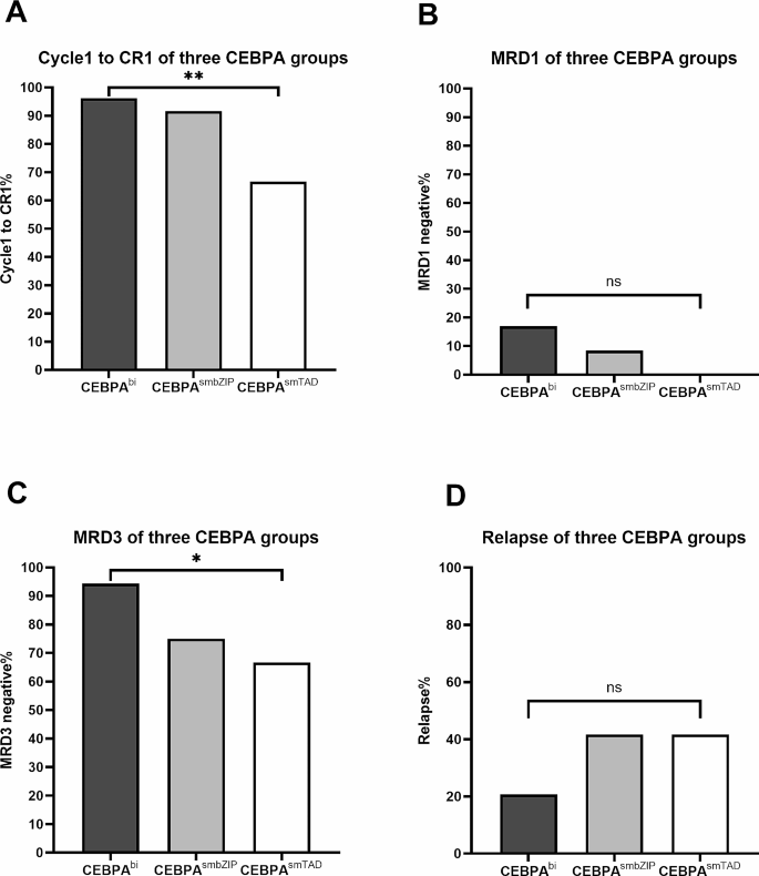 Impact of different CEBPA mutations on therapeutic outcome in acute ...