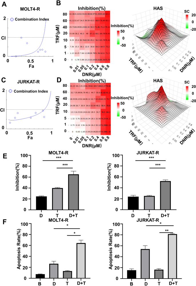 The DHODH inhibitor teriflunomide impedes cell proliferation and ...