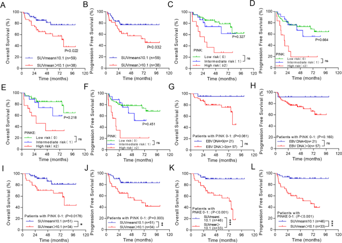 Metabolic parameter of baseline 18 F-FDG PET/CT with PINK models ...