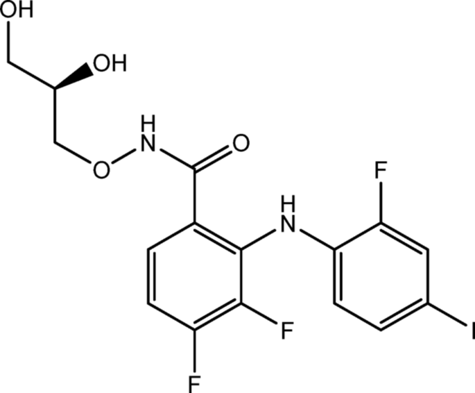 Mirdametinib: FDA approved MEK inhibitor for neurofibromatosis type 1 ...