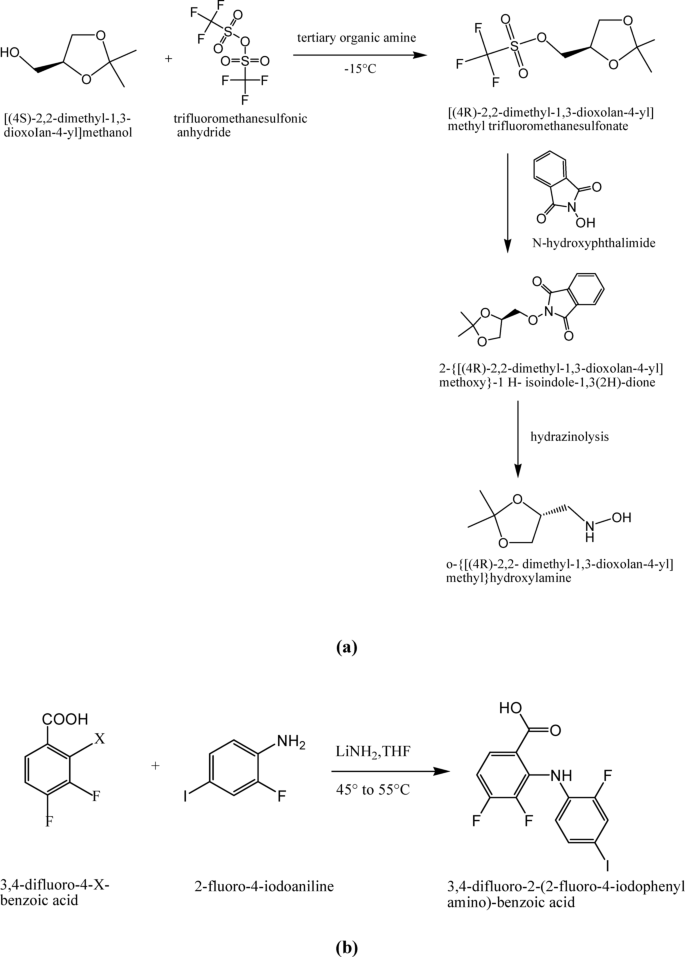 Mirdametinib: FDA approved MEK inhibitor for neurofibromatosis type 1 ...