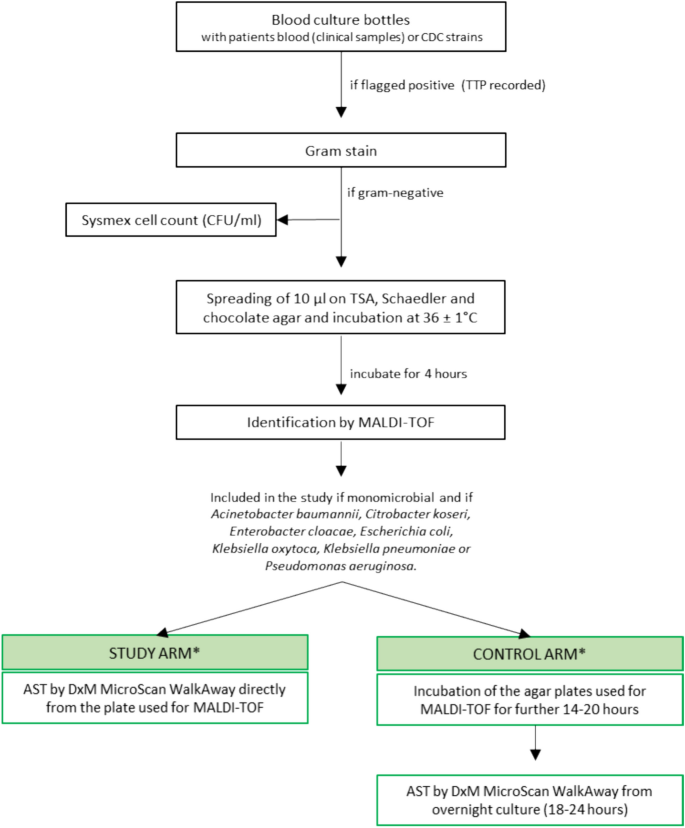Rapid Antimicrobial Susceptibility Testing Using the MicroScan System ...