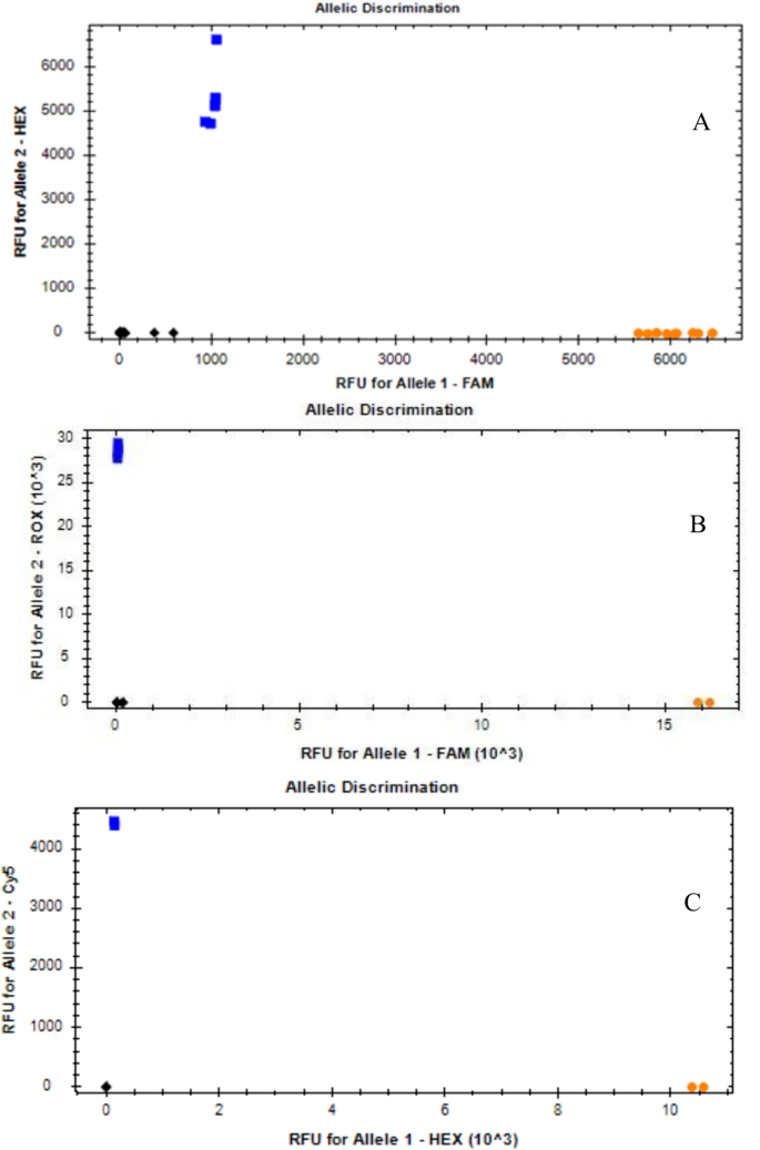Duplex Real-Time Fluorescent Quantitative PCR Assays for the Detection ...