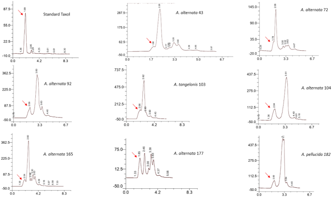 Genomic and Chemical Evidence on Biosynthesis of Taxane Diterpenoids in ...