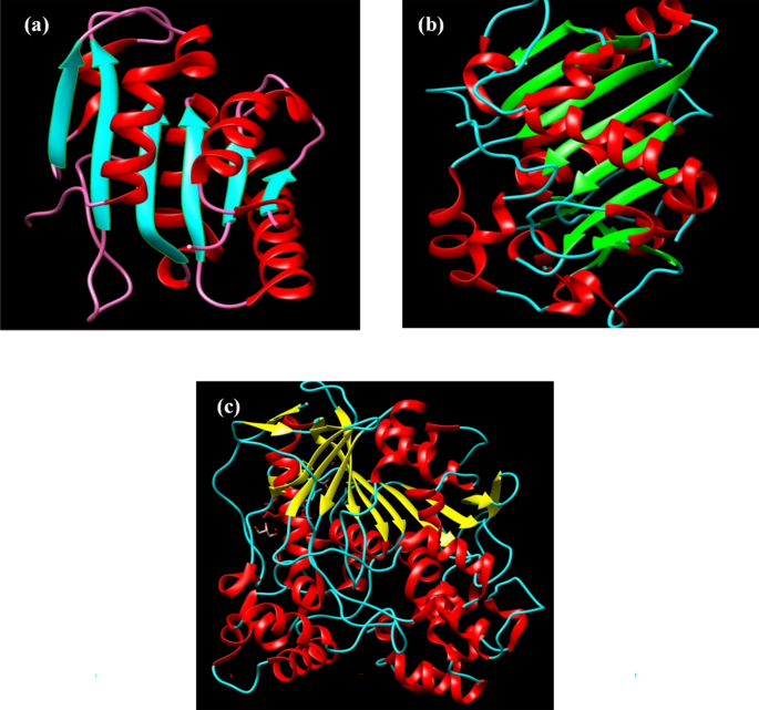 Comprehensive Insights into Microbial Lipases: Unveiling Structural ...