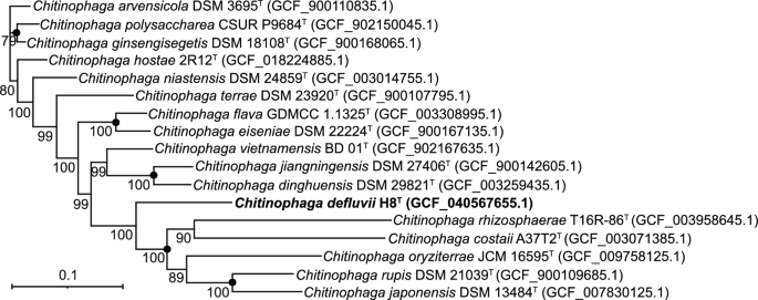 Chitinophaga defluvii sp. nov., a Cyhalofop-Butyl-Degrading Bacterium ...