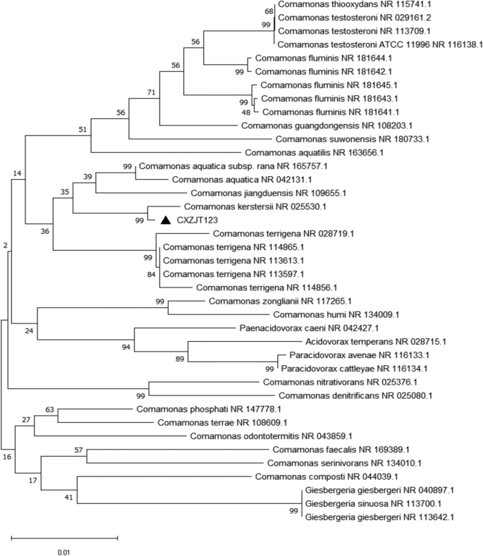 Identification and Biological Characteristics of Rare Pathogen ...