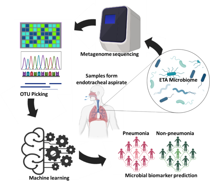 Integrated Microbiome Data Analysis Reveals Potential Pneumonia Microbial Biomarkers in ICU ...