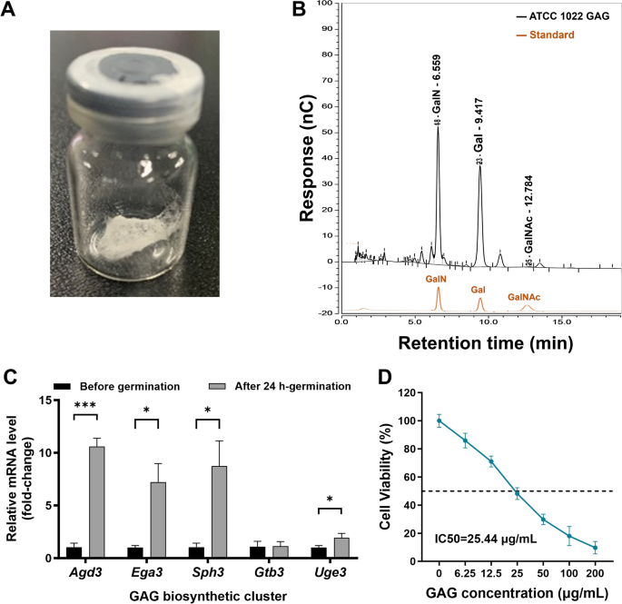 Regulation of Necroptosis by Aspergillus fumigatus Exopolysaccharide in ...