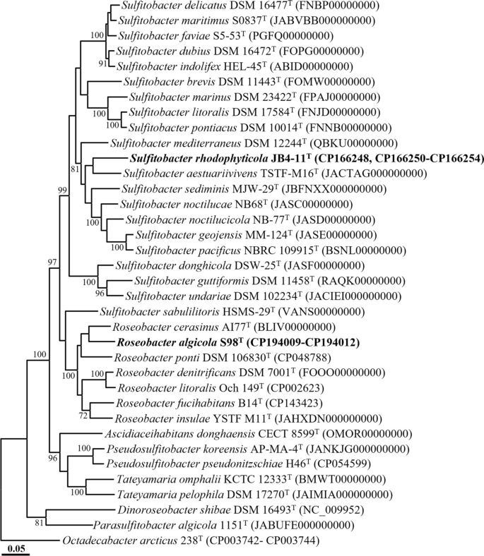 Roseobacter algicola sp. nov. and Sulfitobacter rhodophyticola sp. nov ...