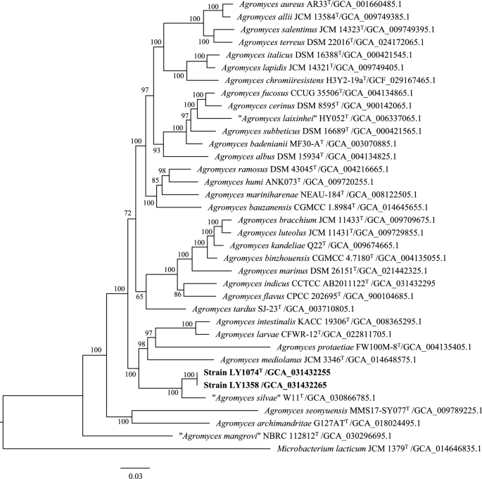 Agromyces aerolatus sp. nov., an Actinobacterium Isolated from Air of ...