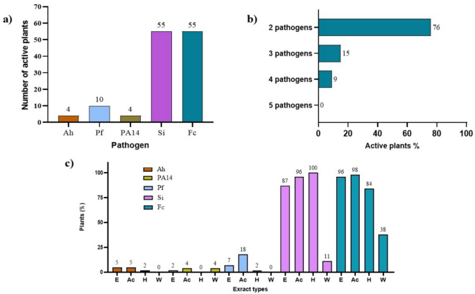 Antibacterial Activity, Phytochemical Composition, and Cytotoxicity ...