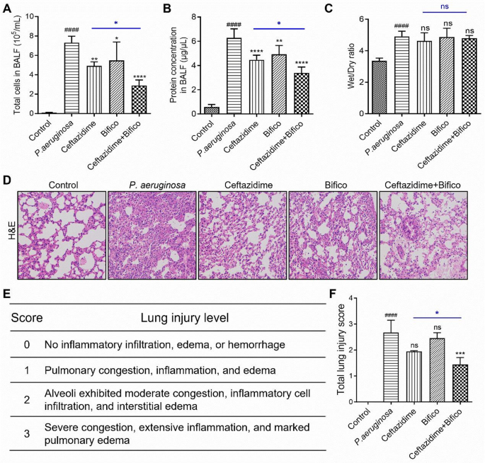 Ceftazidime Combined with Bifico Improves Therapeutic Efficacy and ...