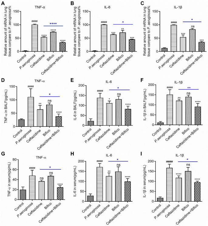 Ceftazidime Combined with Bifico Improves Therapeutic Efficacy and ...