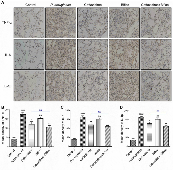 Ceftazidime Combined with Bifico Improves Therapeutic Efficacy and ...