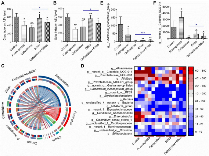 Ceftazidime Combined with Bifico Improves Therapeutic Efficacy and ...