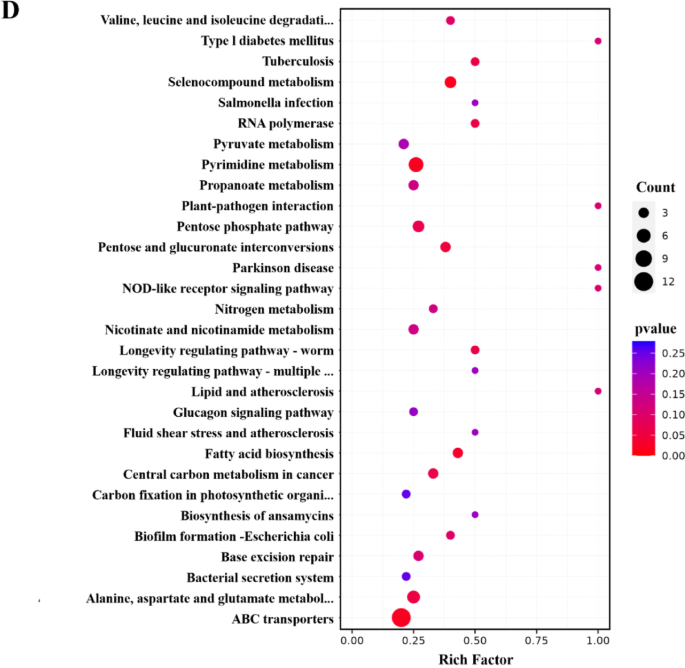 Exploring the Dynamic Culture System of biofilm-forming Bifidobacterium ...