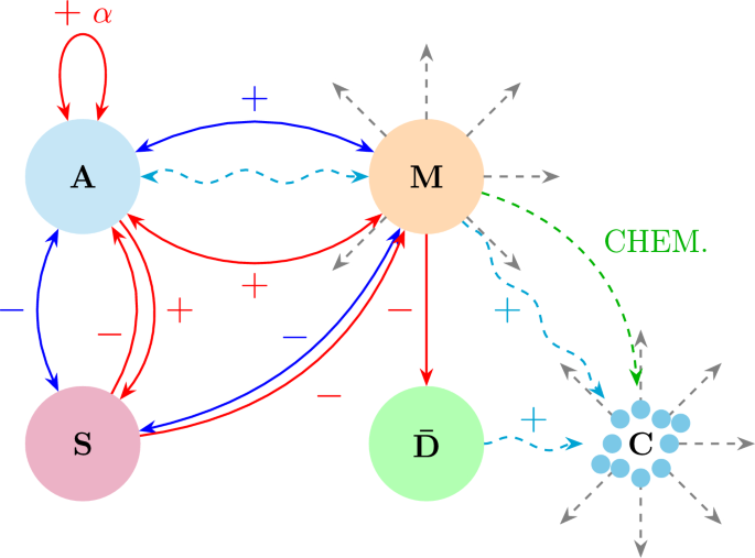 Derivation from kinetic theory and 2-D pattern analysis of chemotaxis models for Multiple ...