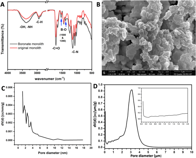 Preparation, characterization and application of boronic acid ...
