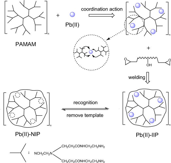 Preparation, characterization and application of the Pb-ion-imprinted ...