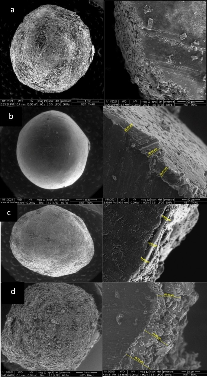 Synthesis, characterization and analysis of biodegradable polymer ...