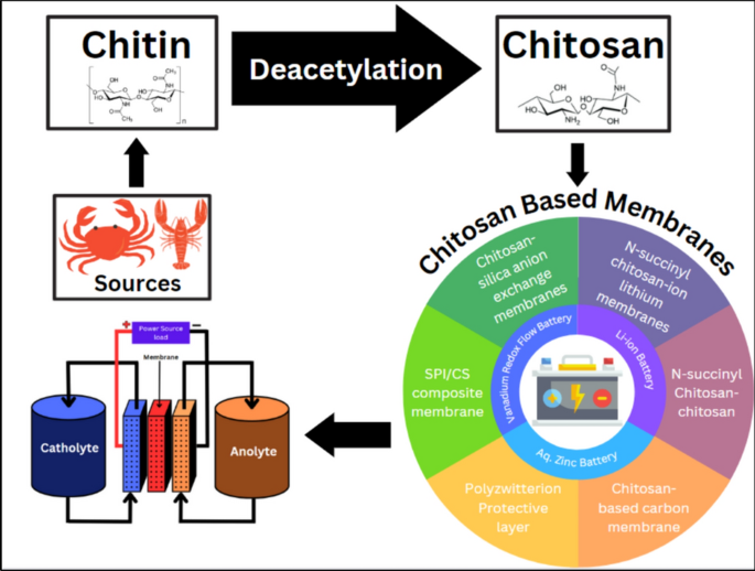 Advancements in chitosan membranes for promising secondary batteries ...