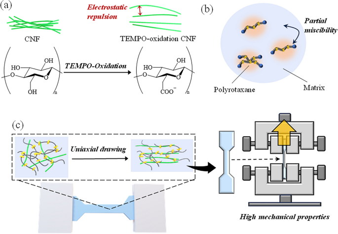 Creation of drawn-oriented composites based on the fluorinated polymer ...
