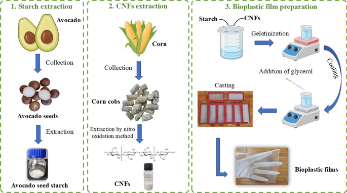 Formulation of bioplastic films based on natural polymers from avocado ...