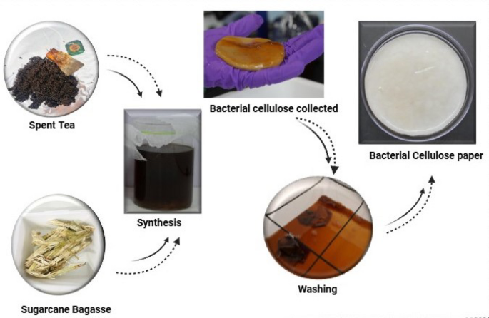Development and comparative physicochemical evaluation of bacterial ...