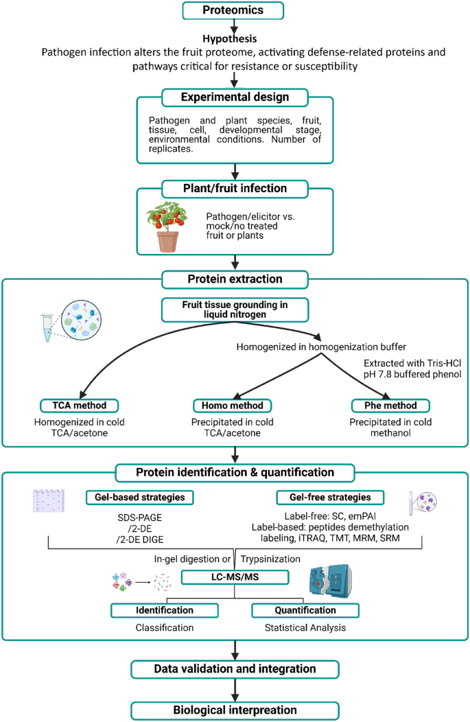 Proteomic insights into fruit–pathogen interactions: managing biotic ...