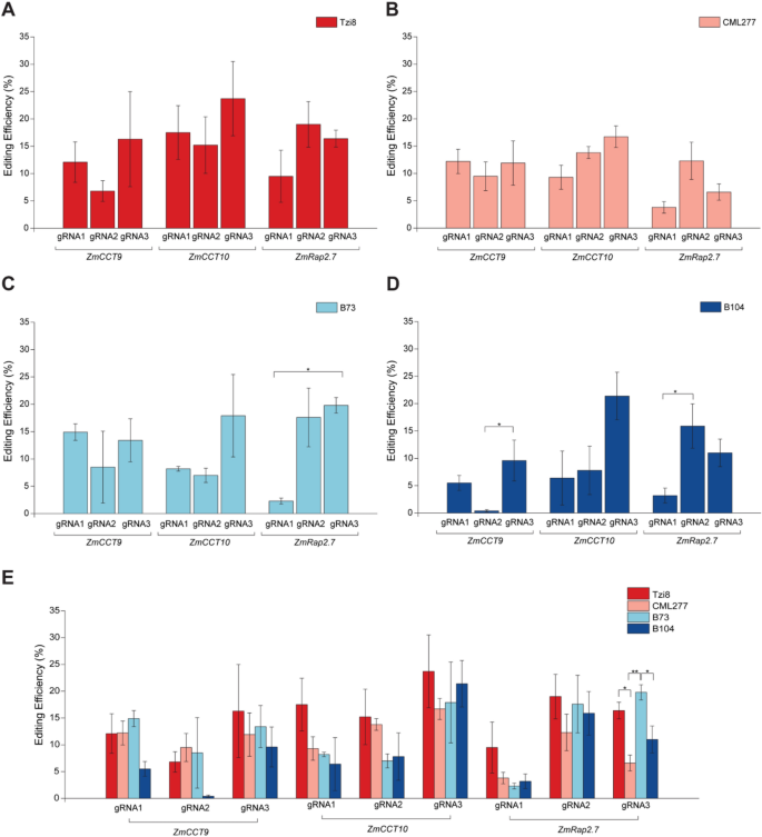Rapid assessment of CRISPR gRNAs with optimized protoplast ...