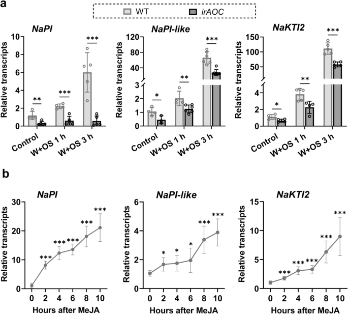 MYC2a/b-regulated protease inhibitors in defense against Spodoptera ...