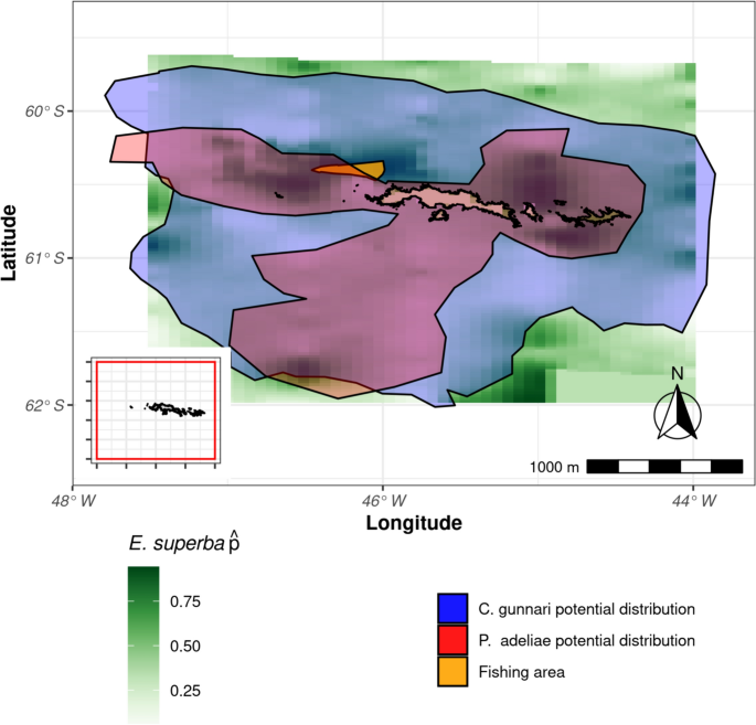 Consumption of Antarctic krill Euphausia superba by mackerel icefish ...