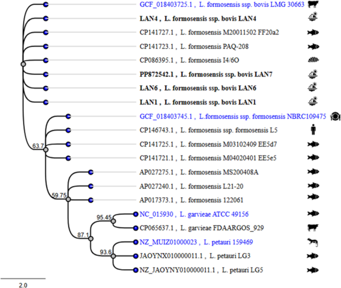 Isolation and identification of Lactococcus formosensis from Antarctic surface seawater | Polar ...
