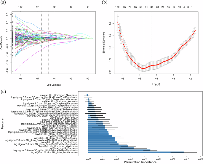 CT radiomics combined with clinical and radiological factors predict ...