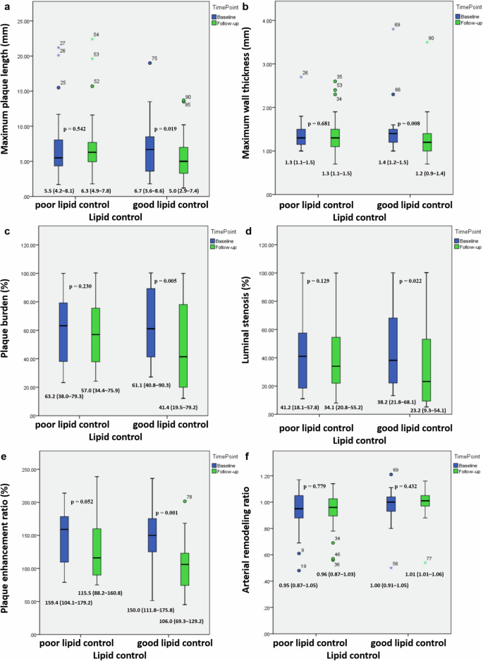 Application of high-resolution MRI in evaluating statin efficacy on ...