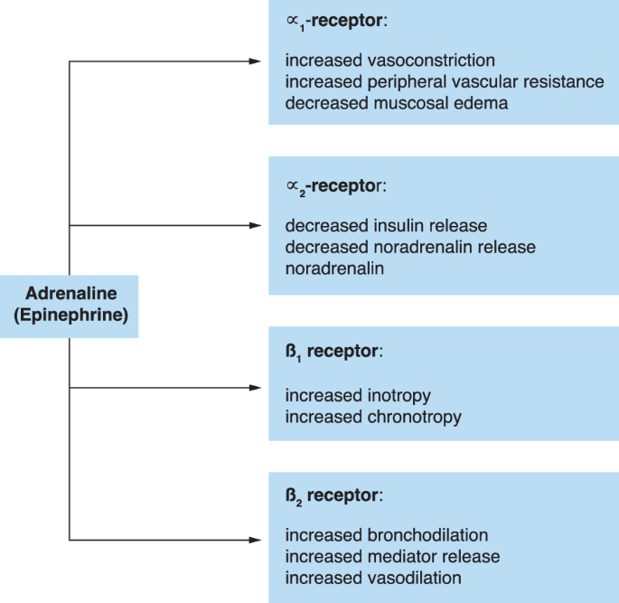 Hypersensitivity reactions to contrast media: Part 1. Management of ...